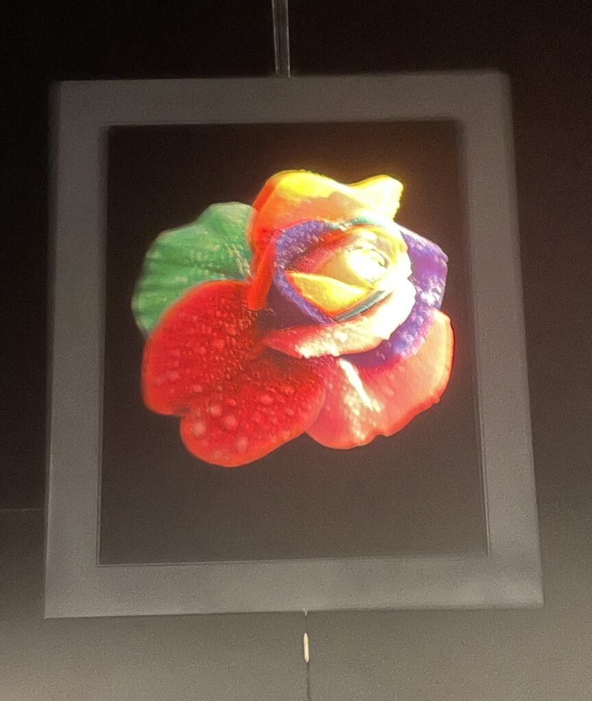 LightFair Day 2: Creative Booth Designs, Exhibitor Reactions, and the ...